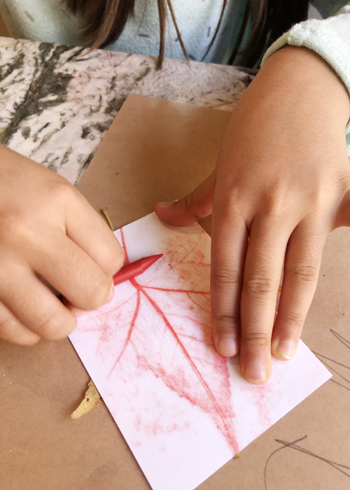 Leaf Rubbings Cards – Ladeeda